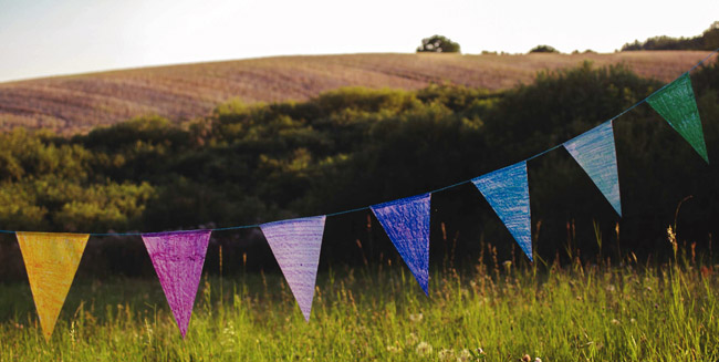 New Feature: Transfer Status